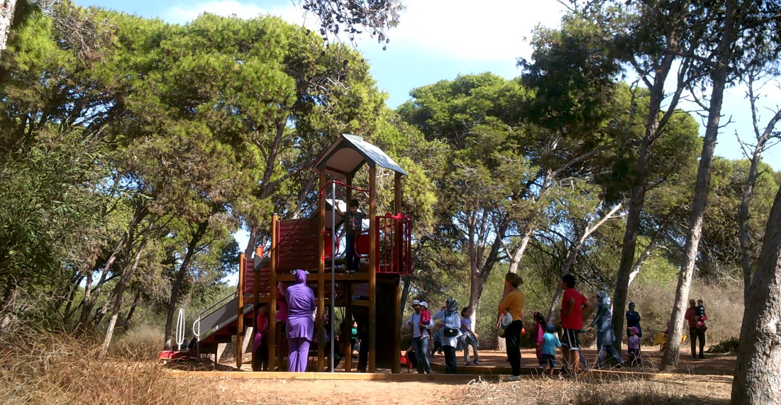 MAROC CORRECT: HARHOURA ET FORET