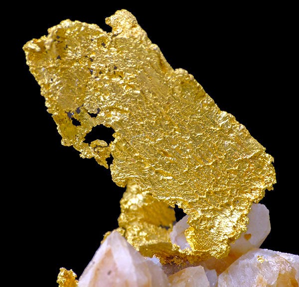 Native Gold on Quartz - Geology In