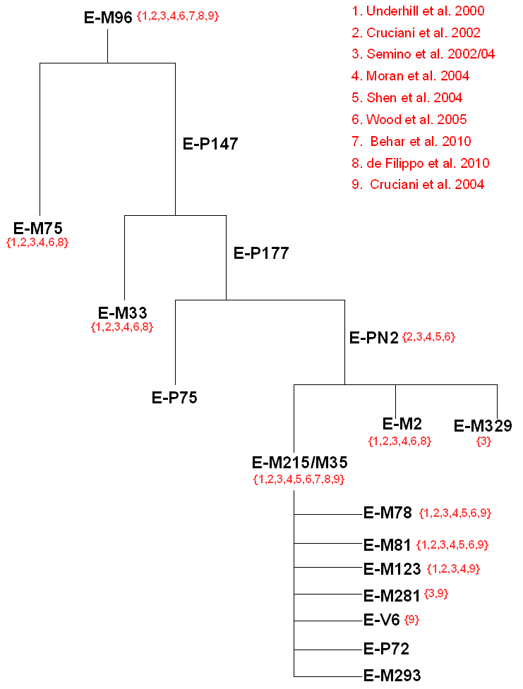 Ethio Helix ኢትዮ:ሒሊክስ: YDNA Haplogroup Distribution in Ethiopia
