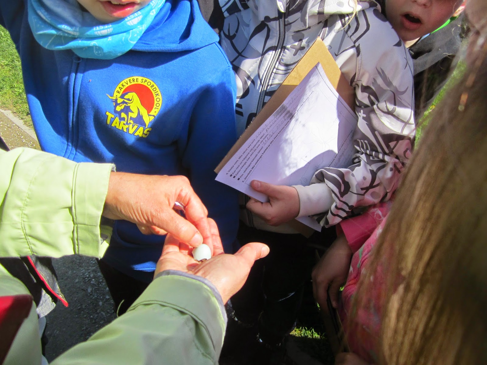 Rakvere Põhikooli 6. klass: mai 2015