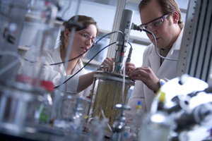 International Internship Programe Of BASF For Chemical Engineering ...