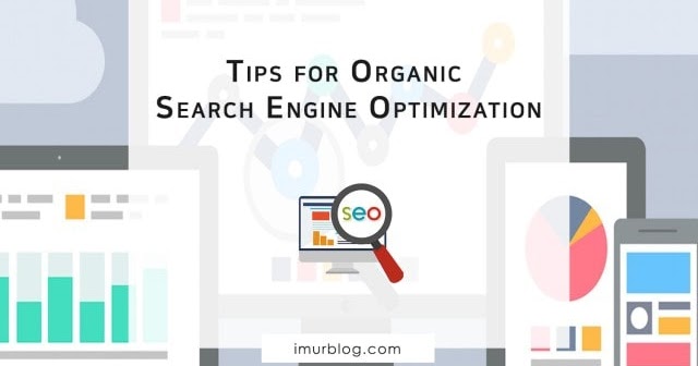 Tips For Organic Search Engine Optimization - KnowhowGeeks | 노하우 긱스