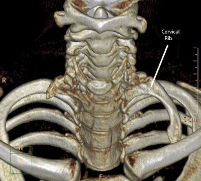 My TOS Story - Sifa's Corner