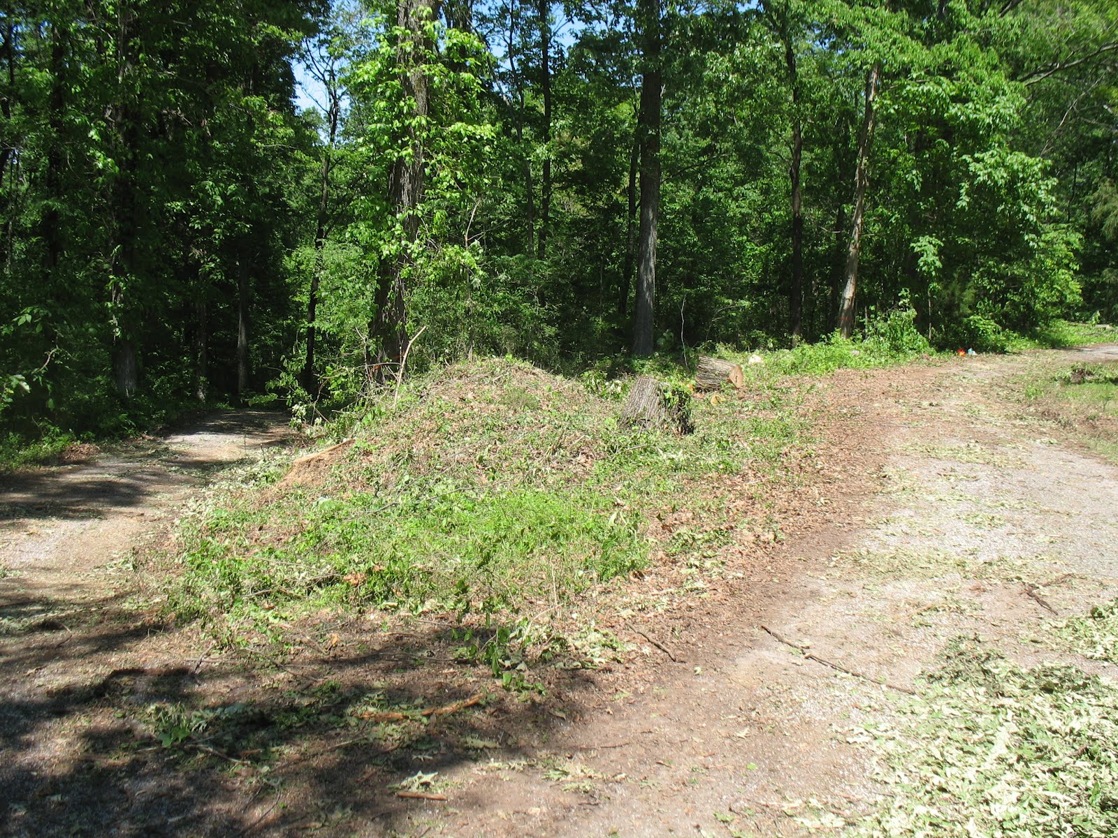 The Civil War Picket: Forgotten Fort Heiman briefly stood as sentinel ...