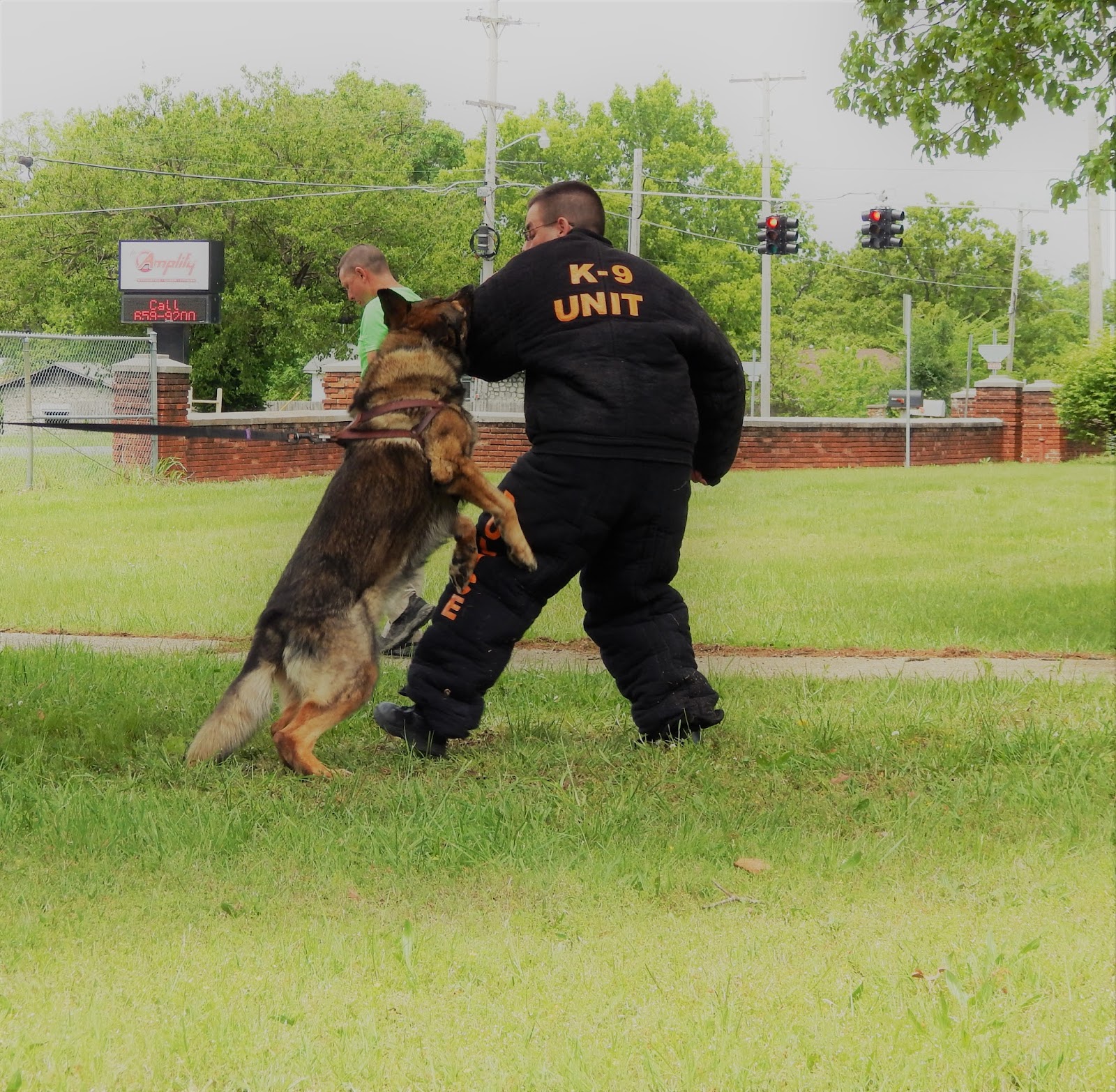 The K9 Chronicle: Building A Successful K-9 Team