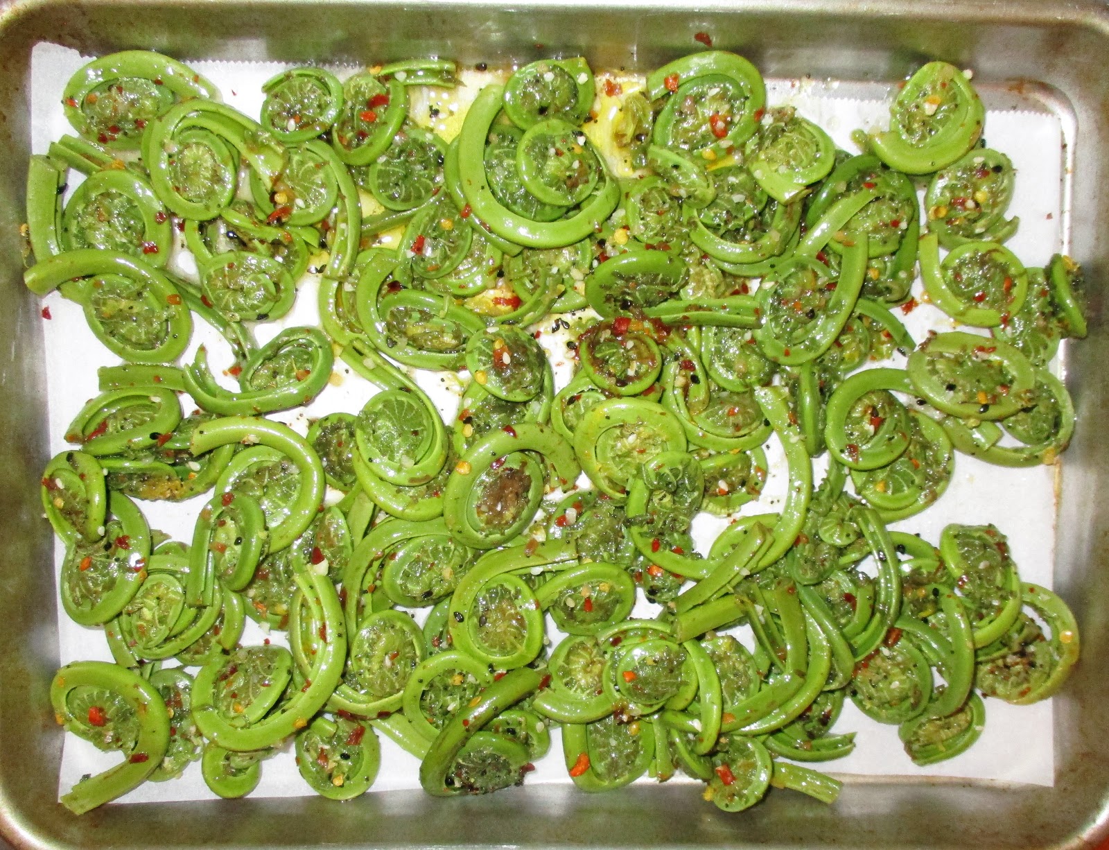 Christine's Cooking: Fiddlehead Ferns