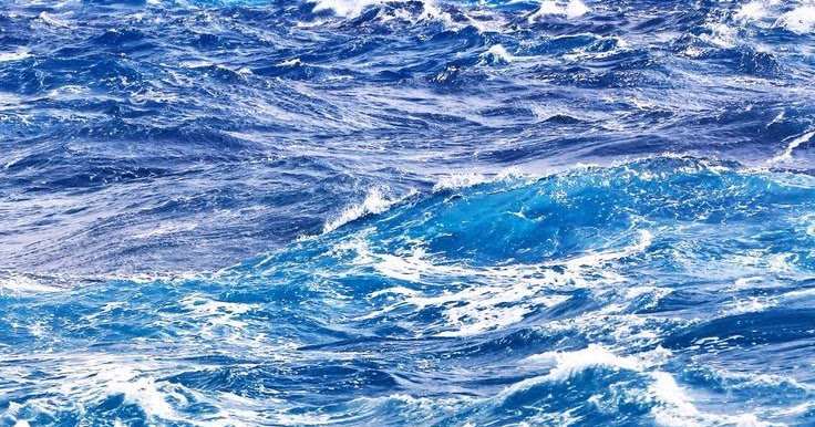 ARISTA CRÍTICA : MAR MORADO