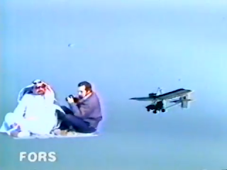 BliZZarraDas: Homoti (1987)