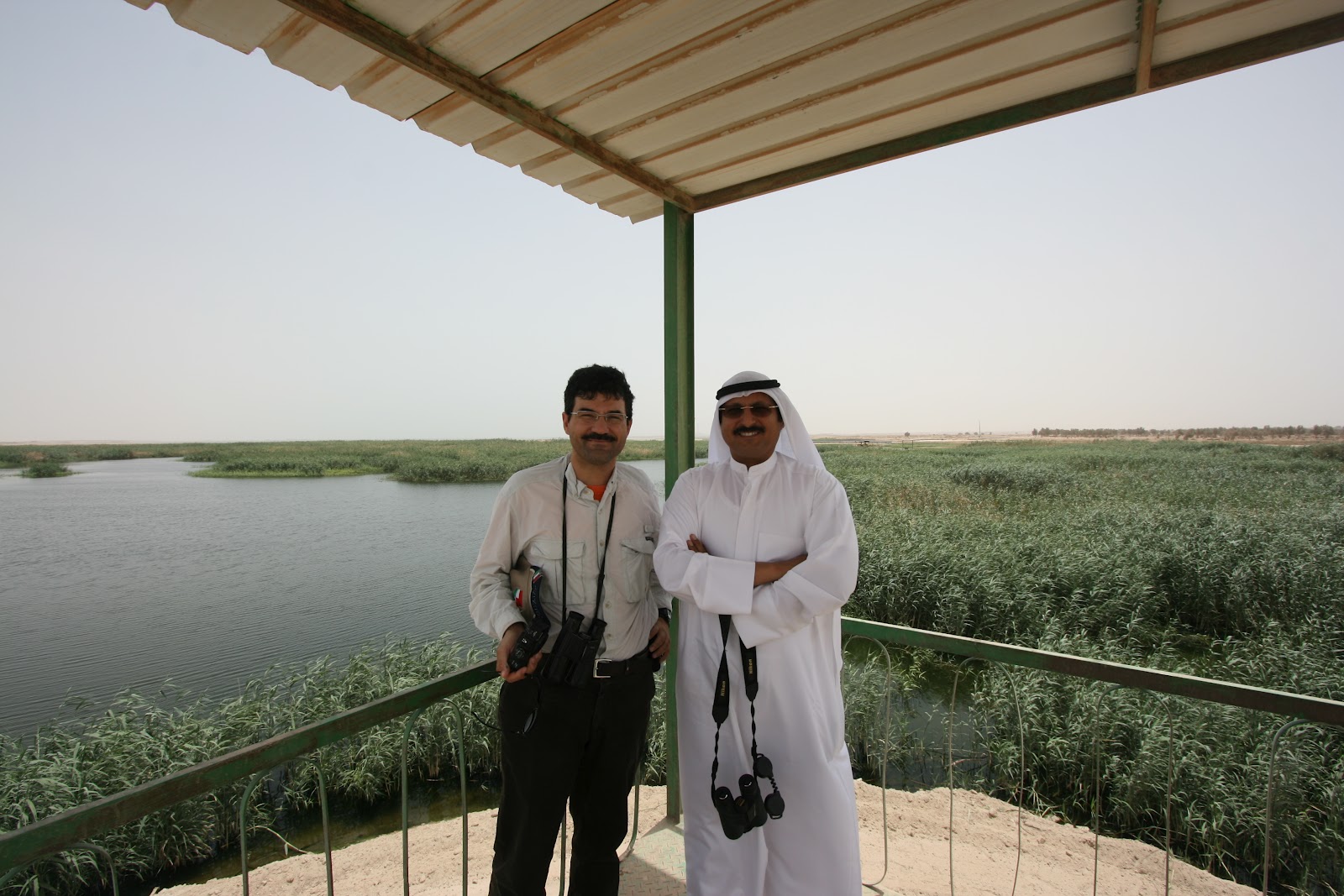 Athens Nature Journal: Wetland in a Desert: Jahra Pool Reserve, Kuwait.