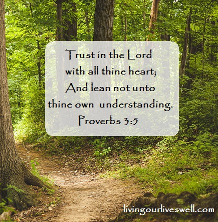 Living Our Lives Well: Proverbs 3 Scripture Pictures