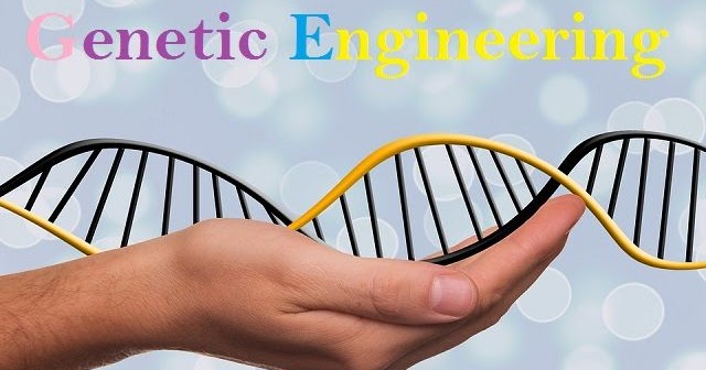 What are the Applications of Genetic Engineering and Recombinant DNA ...