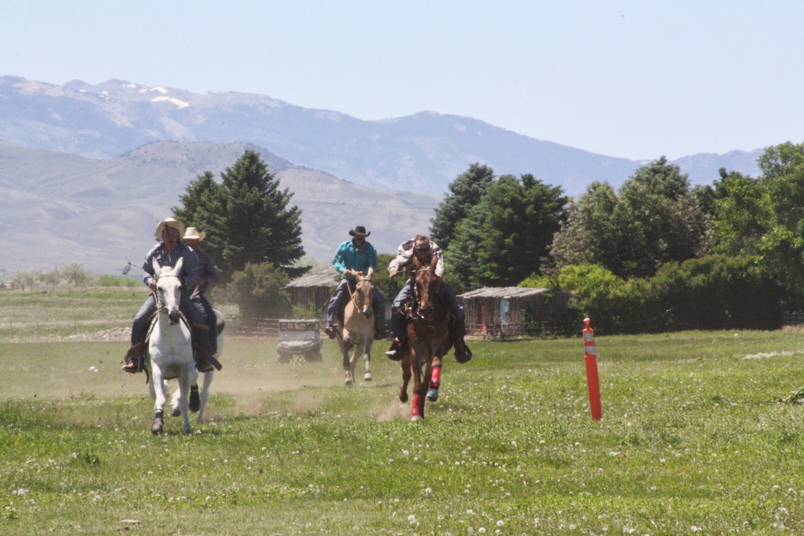 PairADice Mules: Poles and Mule Race