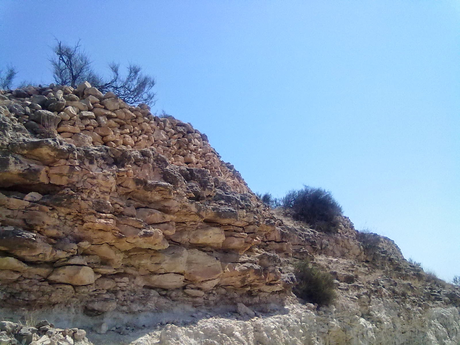 Y por qué no un blog...? : Una visita apresurada a La Moleta