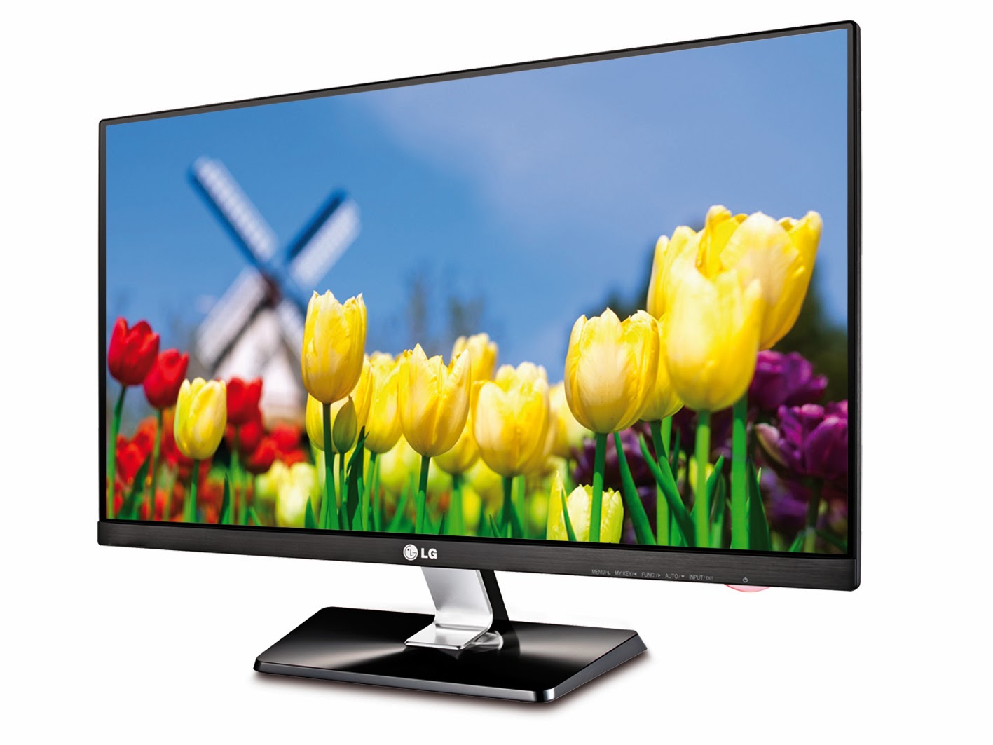 perifericos de salida