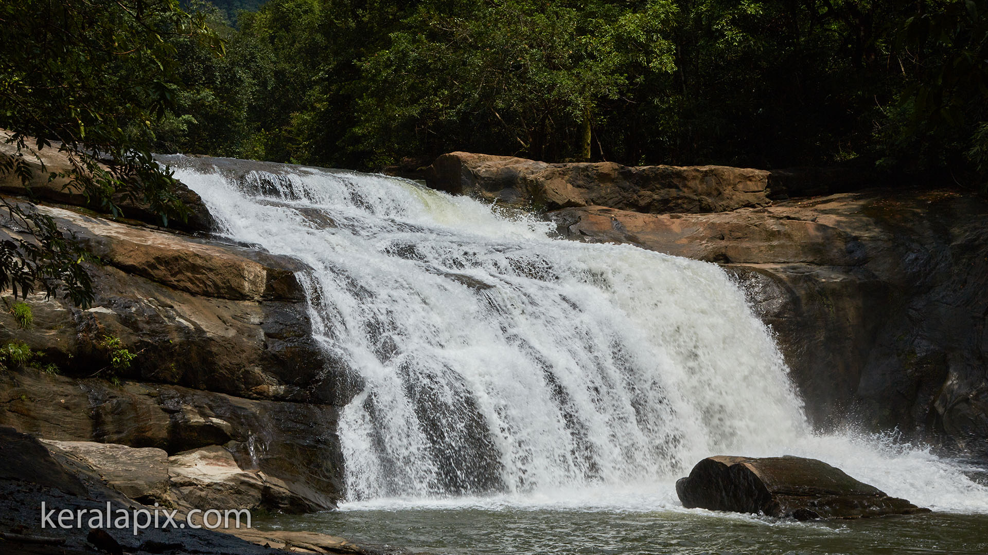 Keralapix.com: Your Ultimate Destination for Stunning Kerala Images and ...