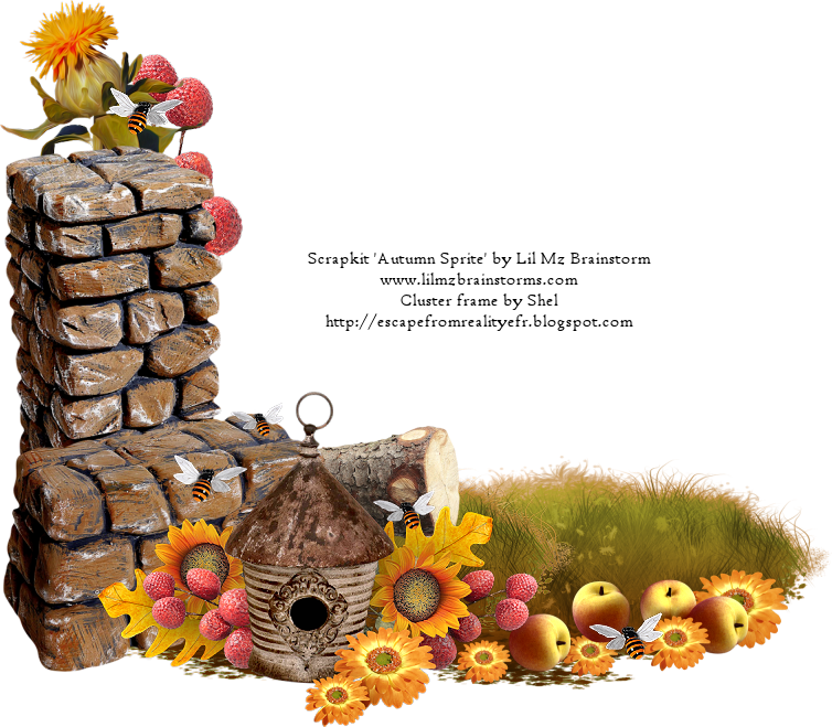 Escape From Reality Blog: FTU 'Autumn Sprite' Cluster Frames LMB