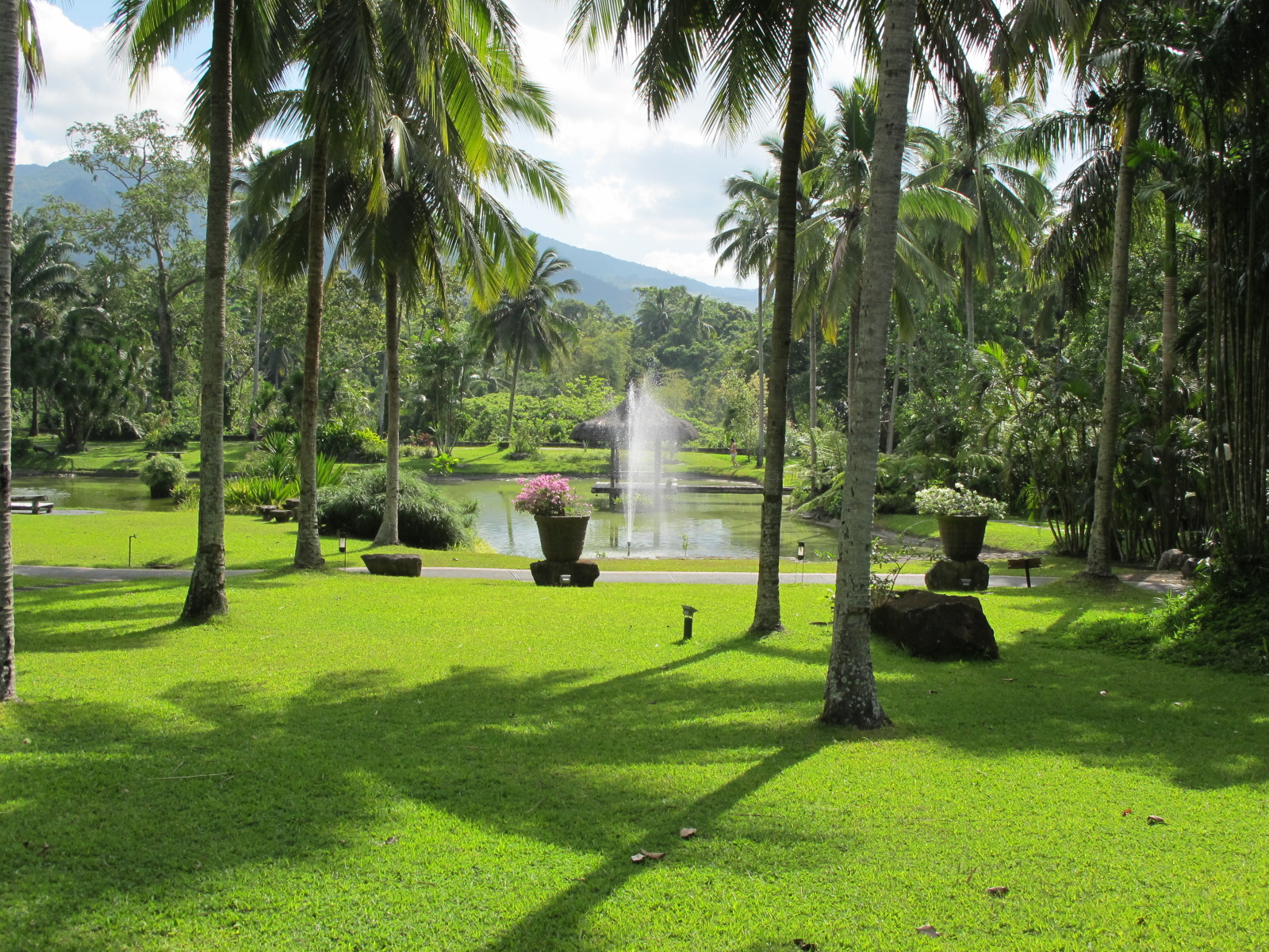 The View Down Under: Round the World Trip: The Farm in the Philippines