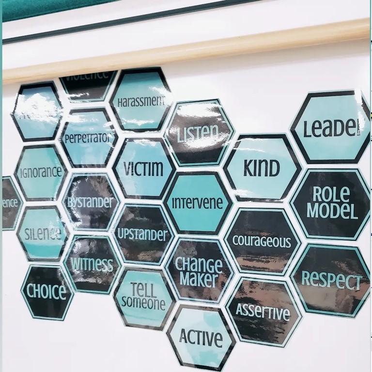 Hexagonal Thinking Bulletin Boards for Social Studies!