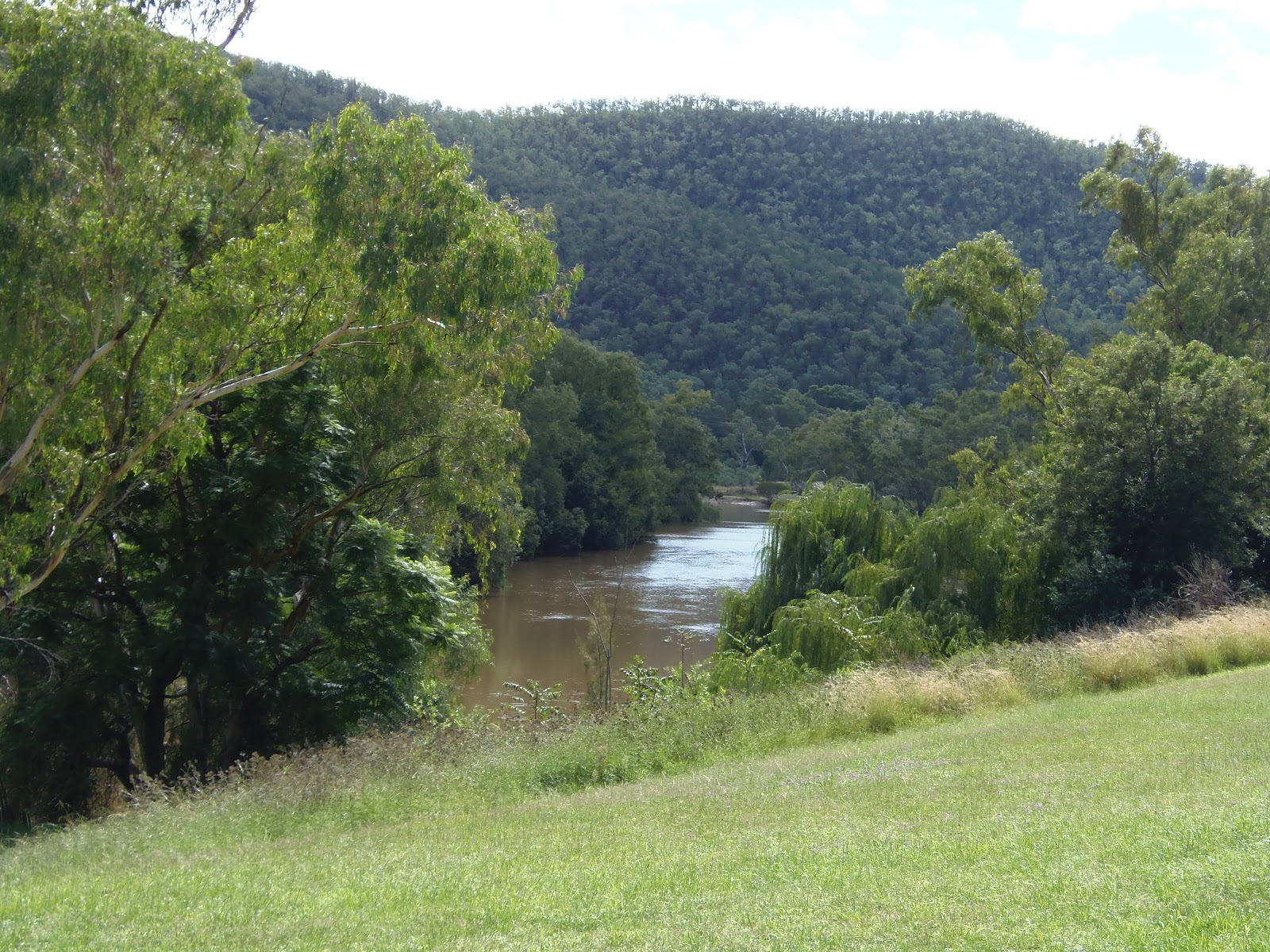 Solo Steve On The Road: BINGARA NSW