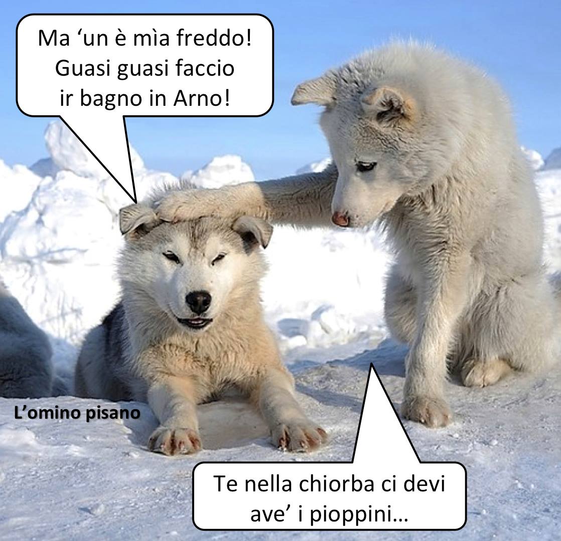 Che La Vita Continua: Buon Giorno ... Brrrrr .. Che Freddo!
