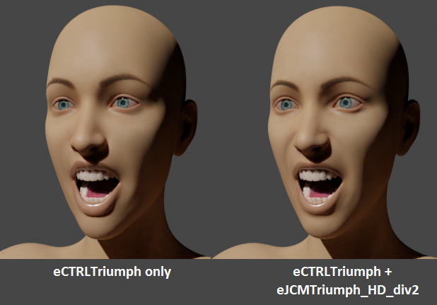 Diffeomorphic: New Morph System
