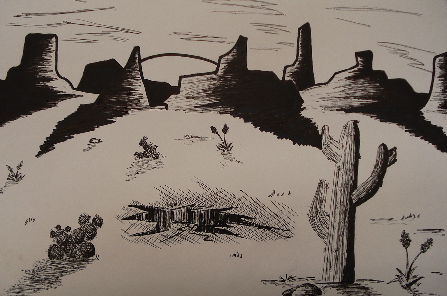 a faithful attempt: Southwestern Pen & Ink Landscape Drawing
