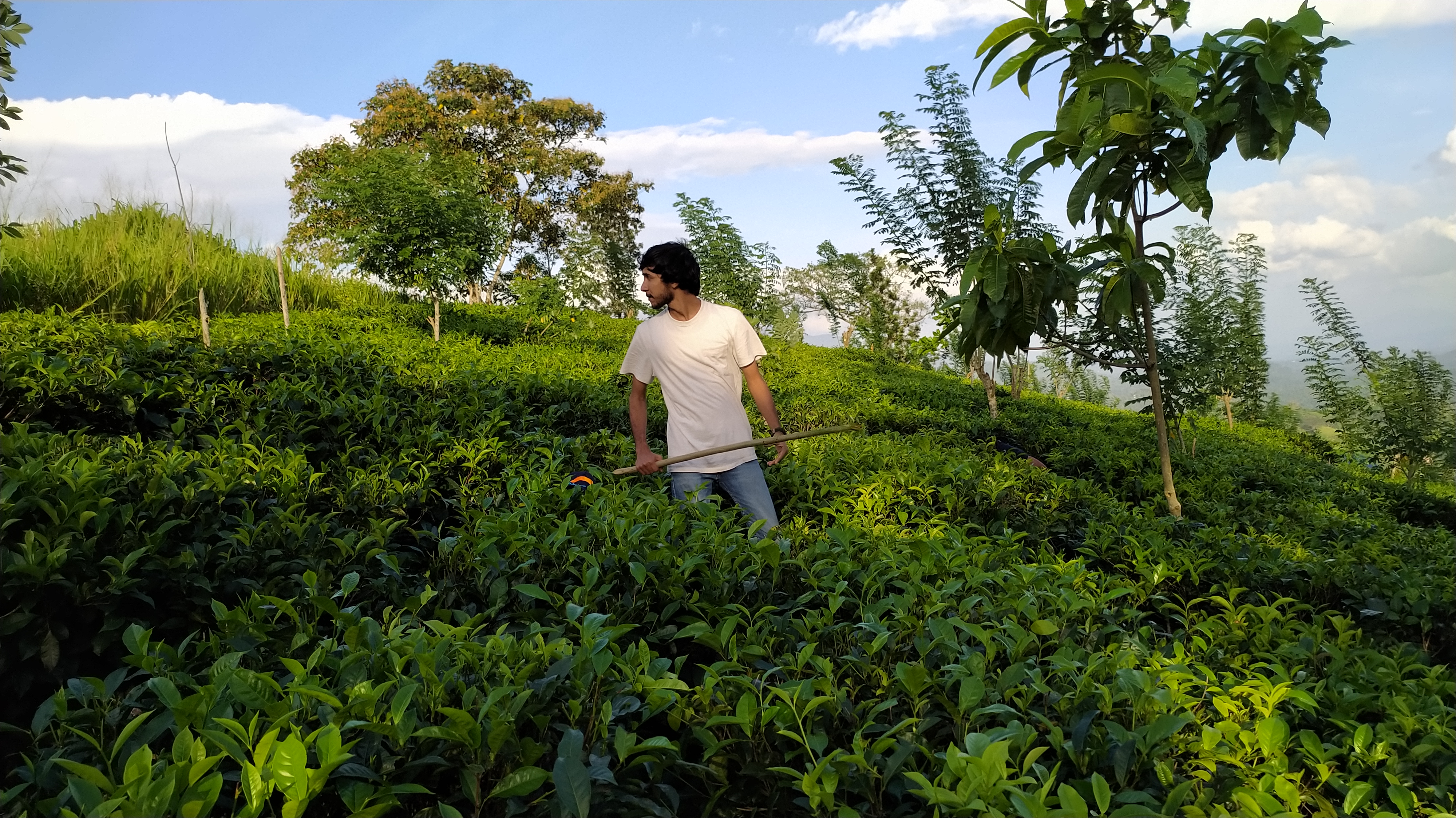 Journey from Pettah to Rabukkana, Mawanella, Nagalla and Rambuk Ela for ...