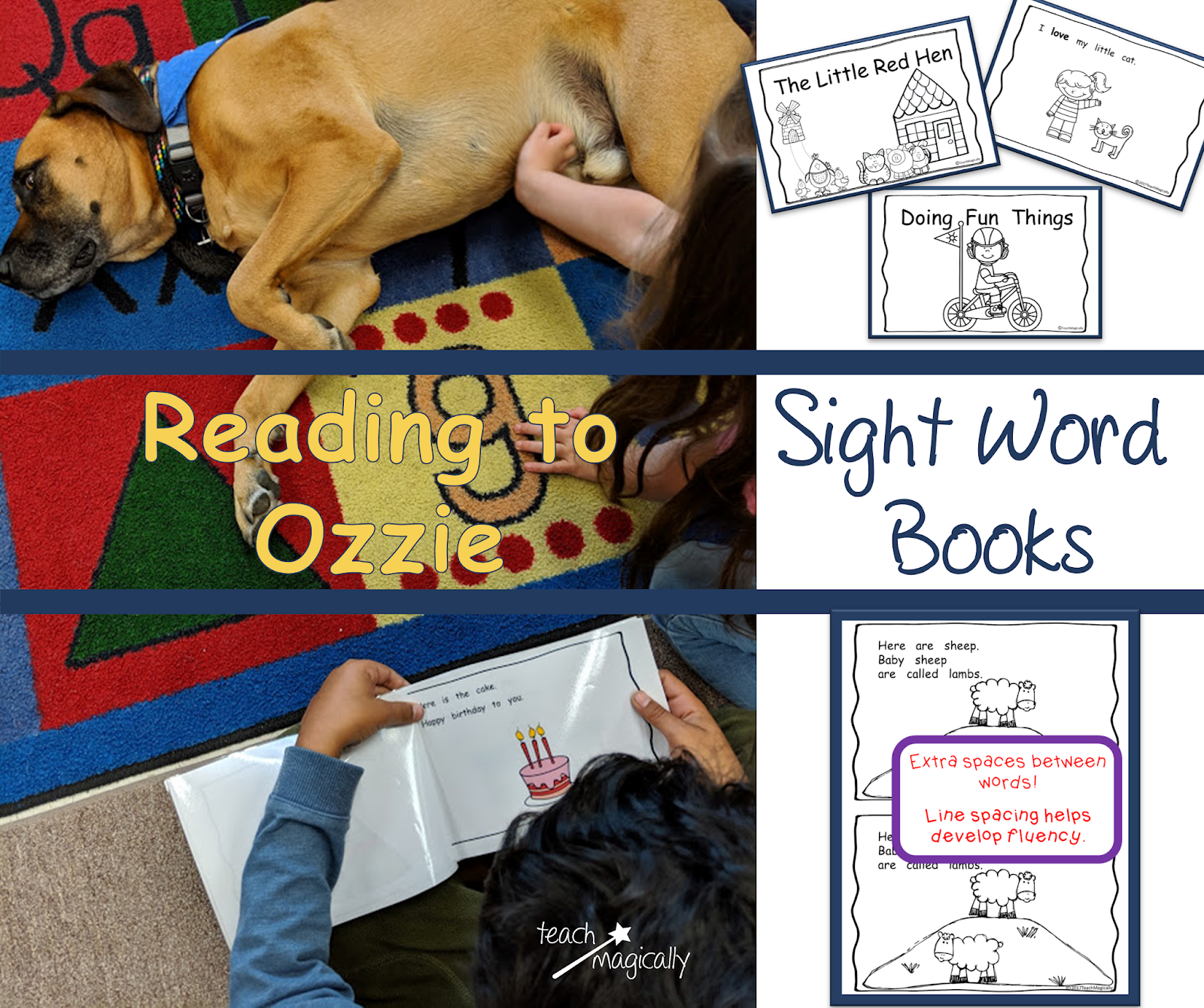 Do You Know the Best Way to Teach Sight Words? - Teach Magically