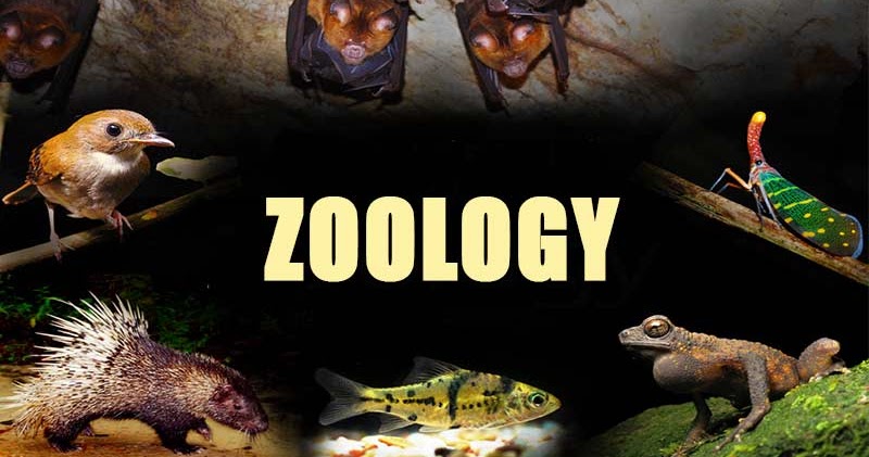 CAREER PROSPECTS IN ZOOLOGY
