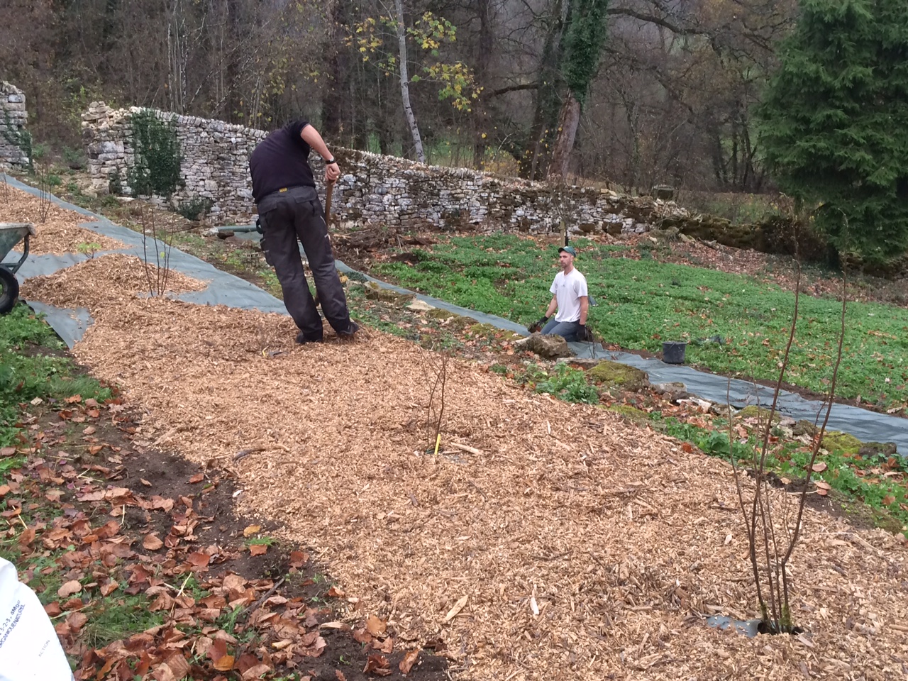 Verger Conservatoire du Val de Seine: Plantation d''arbustes à fruits ...