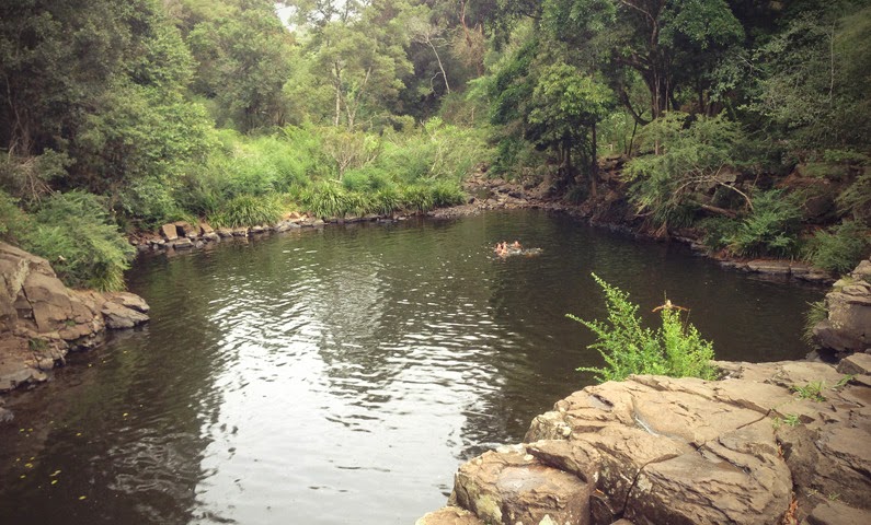 50 Things to do on the Sunshine Coast: Gardener Falls, Maleny