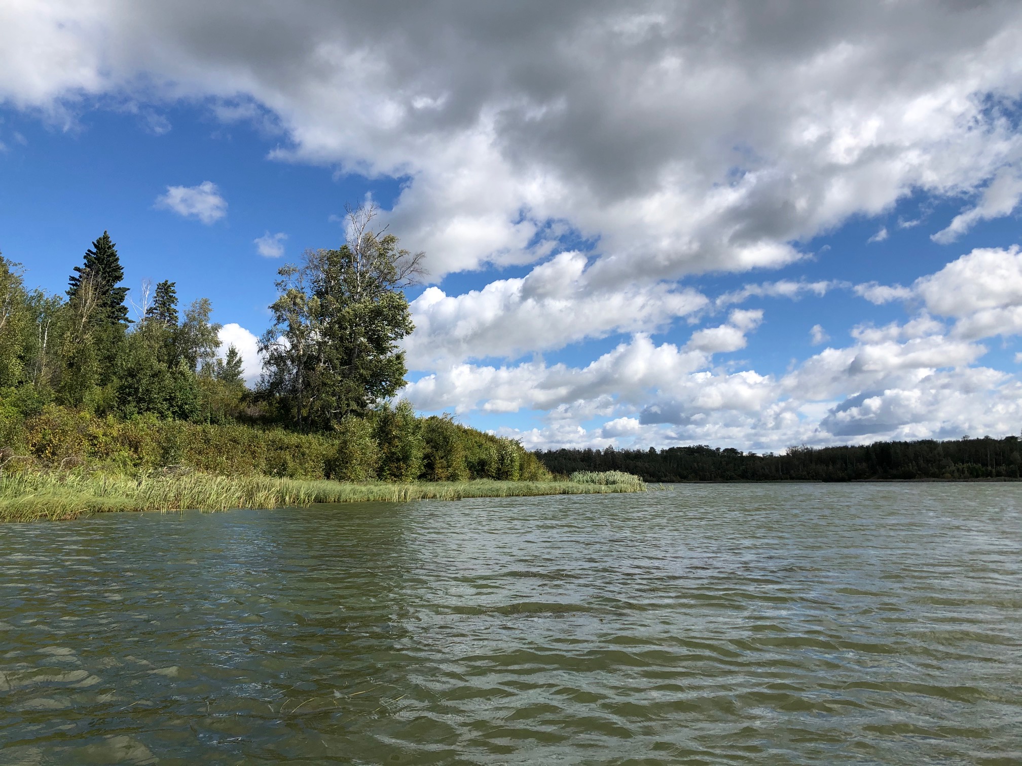 Paddling Near Edmonton, Alberta, Canada: Islet Lake
