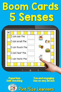 Distance Learning with Boom Decks - Pint Size Learners