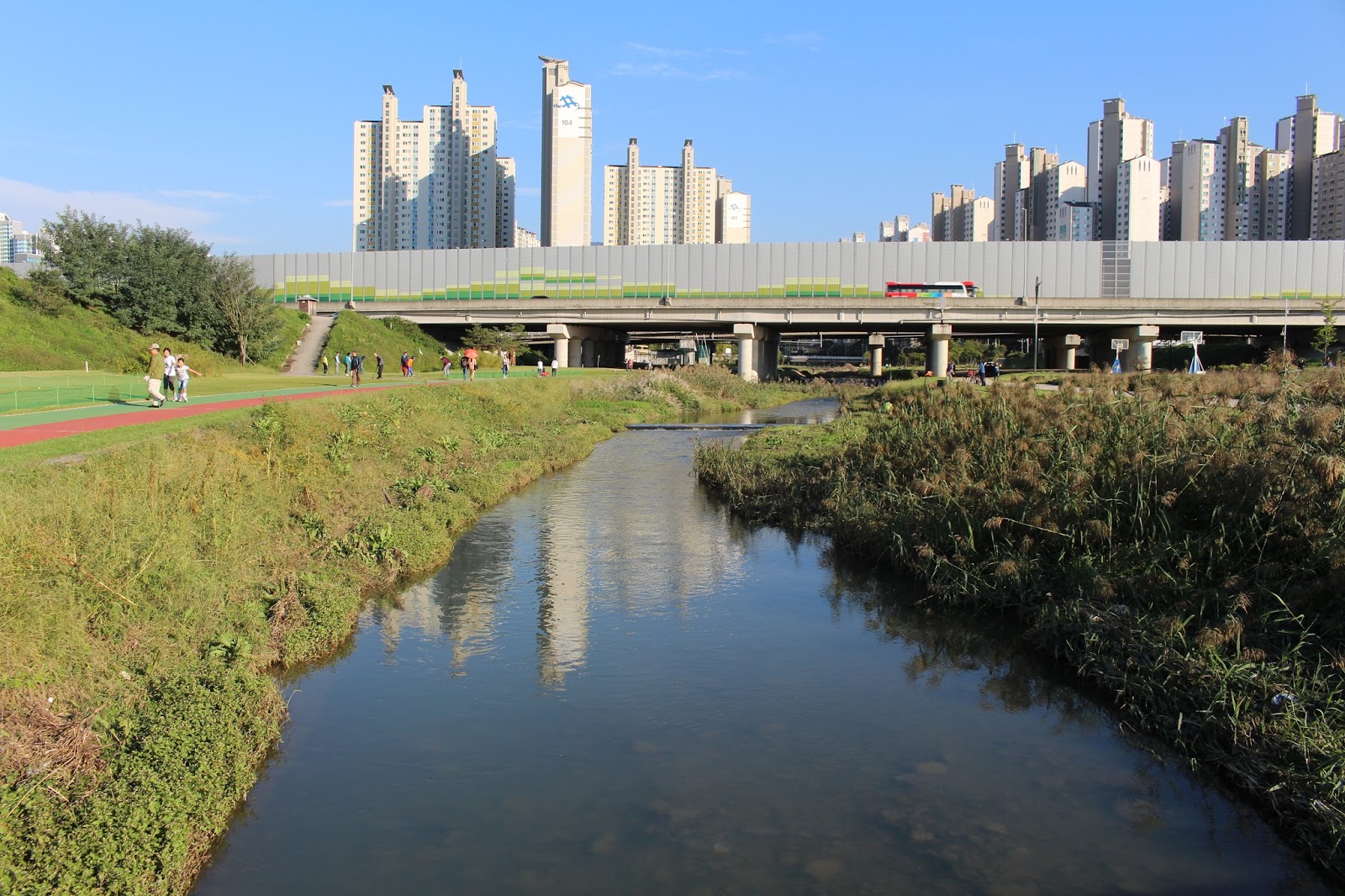 Jincheoncheon River In Daegu - A Pleasant Road To Walk Through During ...