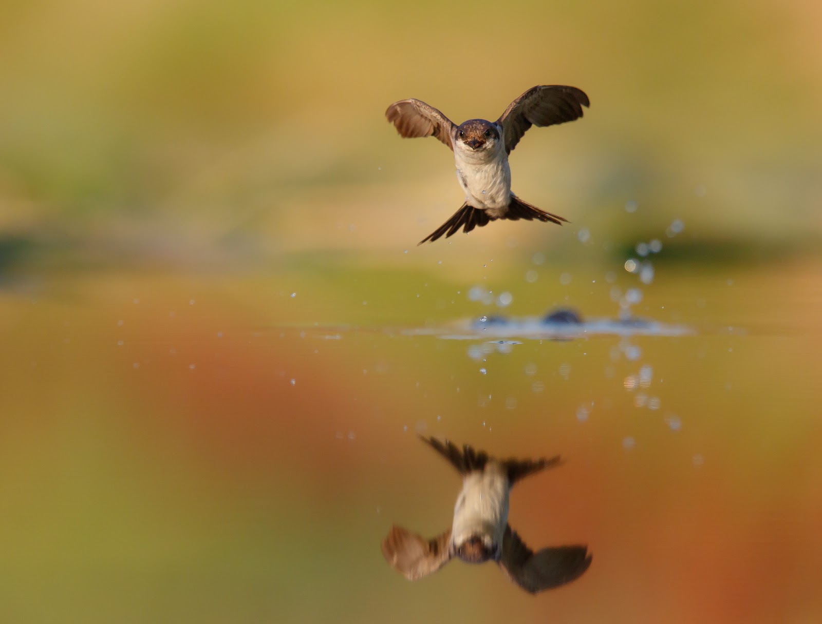 Nikos Fokas Photopraphy Blog