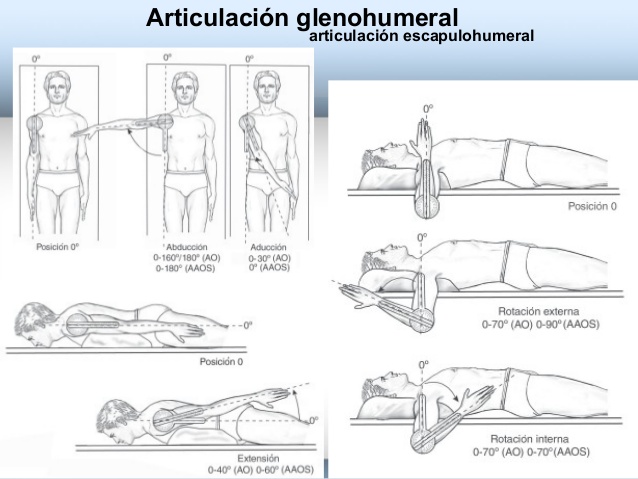 Goniometría de las Articulaciones del Cuerpo Humano: Hombro