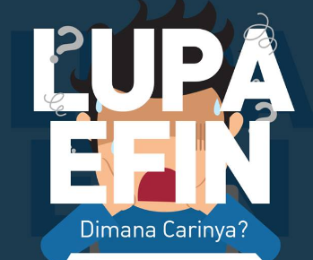 Cara Mengetahui dan Mendapatkan Kode EFIN Pajak Online yang Lupa - INFO ...