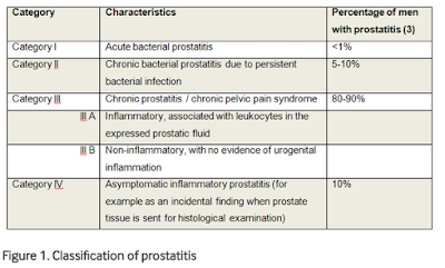 Adult Emergency Medicine: Prostatitis