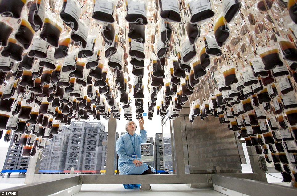Fresh angle: Inside the 'world's largest' blood store