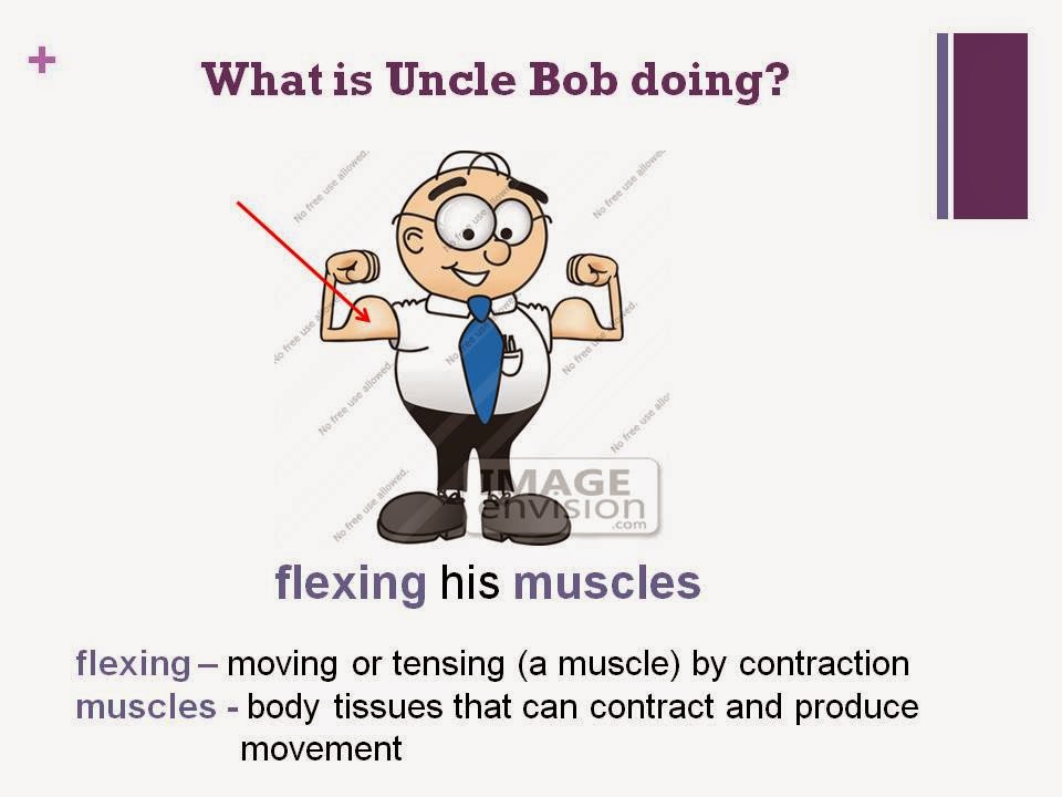 BGPS P3-1 2015: Unit 1 Fearless Phil Vocabulary Slides
