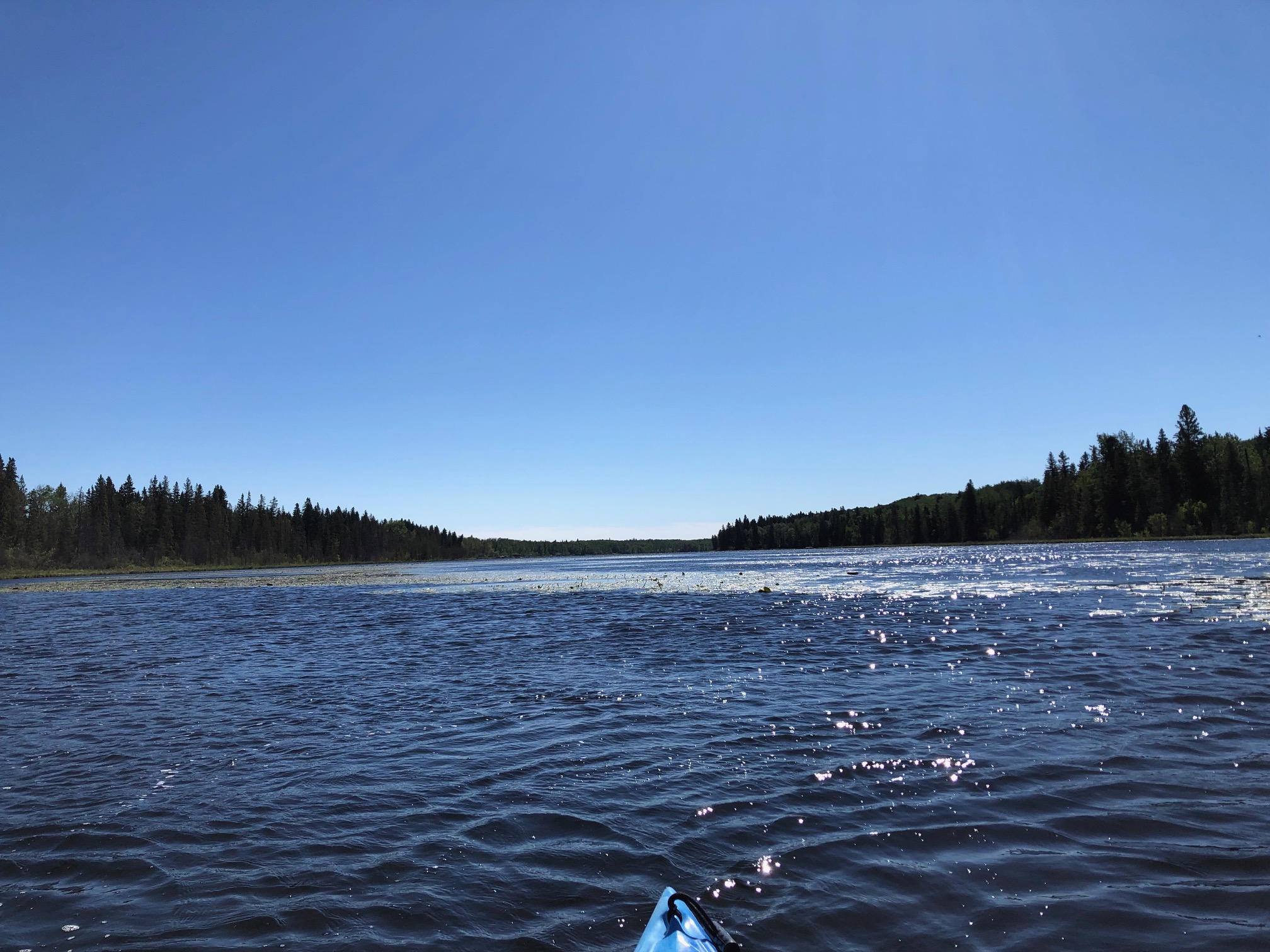 Paddling Near Edmonton, Alberta, Canada: Half Moon Lake, Thorhild County