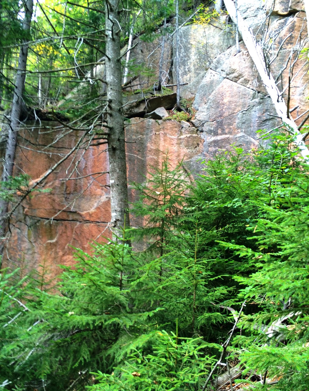 Over The Hill Hikers: 2016