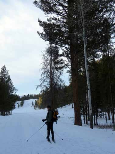 Shirl Ireland's Art Blog: Winter Wonderland