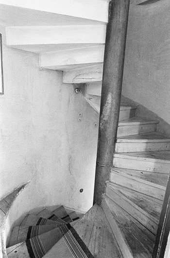 Let's keep it wild.: Honeycomb