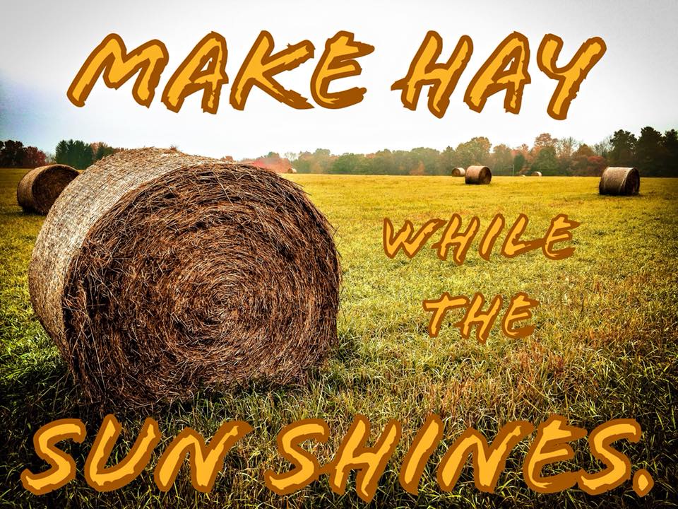Musing Through: Make Hay While the Sun Shines