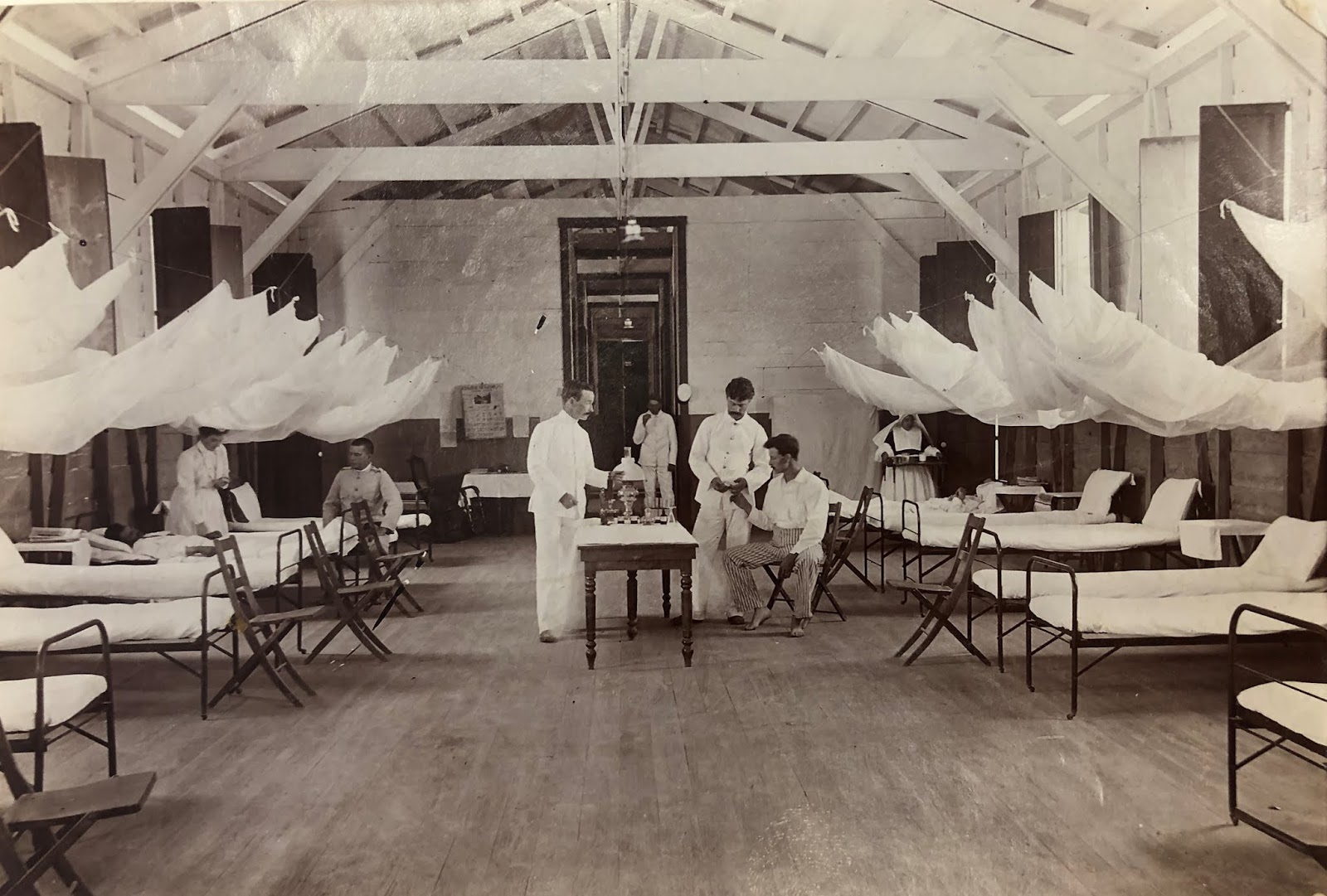 Scrapbook of Yellow Fever Pioneer