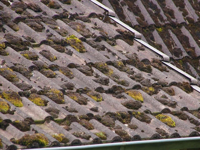 Top Konsep 23+ Penyebab Dinding Lembab