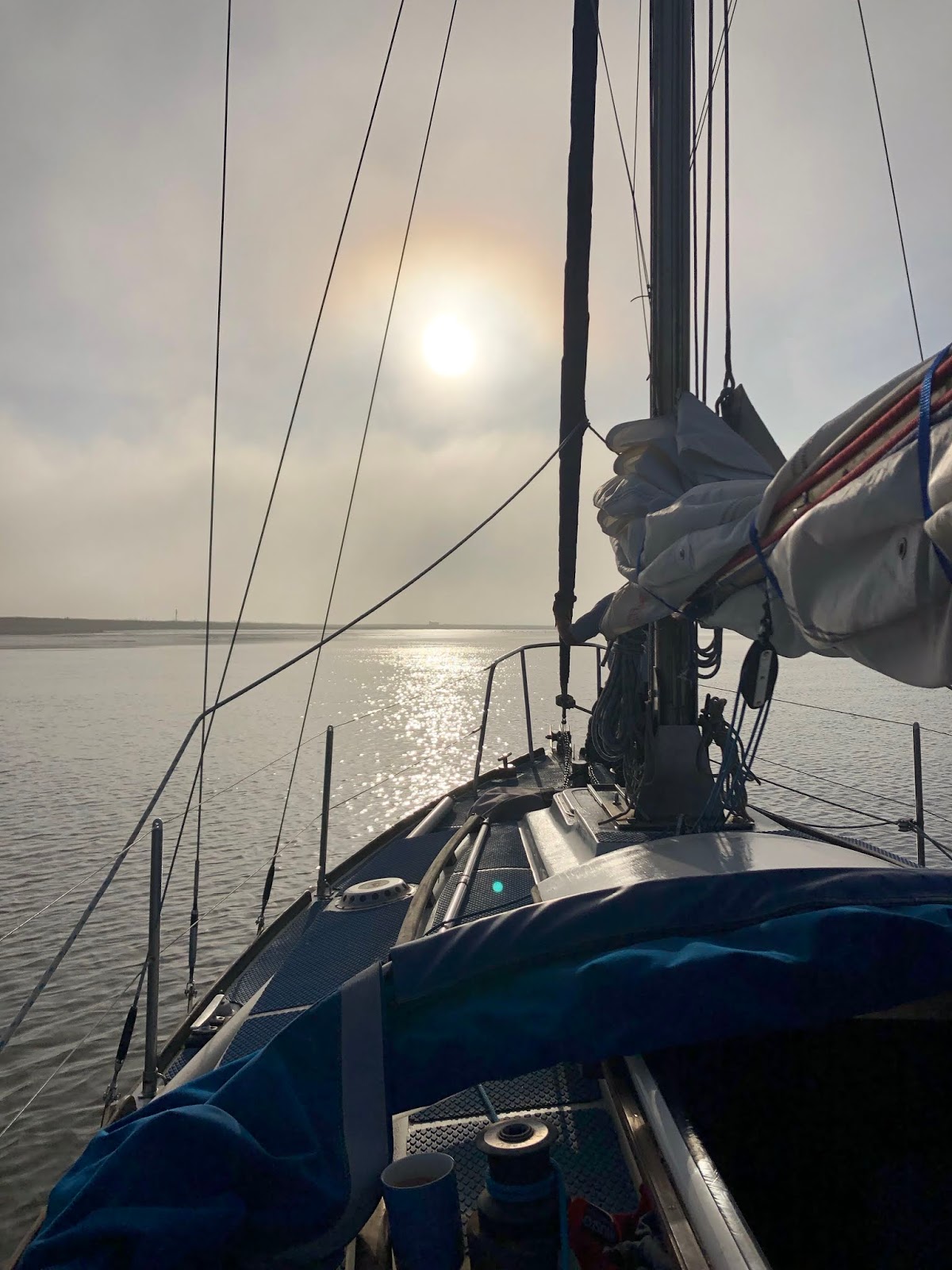 Greg Penoyre - Sailing