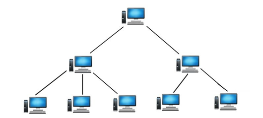 Network Topologies in Computer Network - CBSE CS and IP