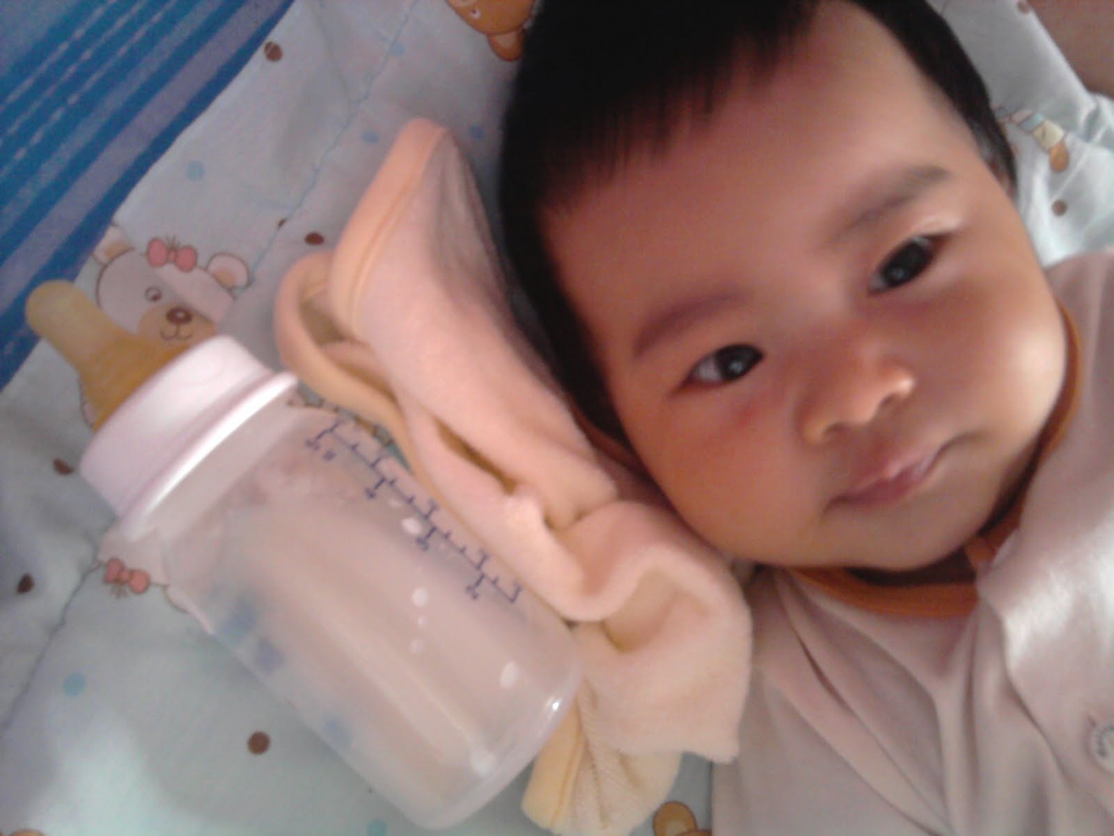 foto zaza: puting botol: Pigeon